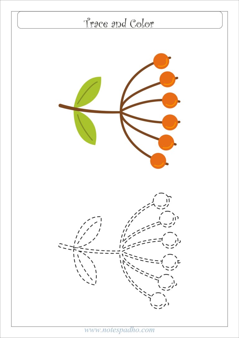 500+ Best Drawing & Coloring Worksheets for Kids - Notes Padho